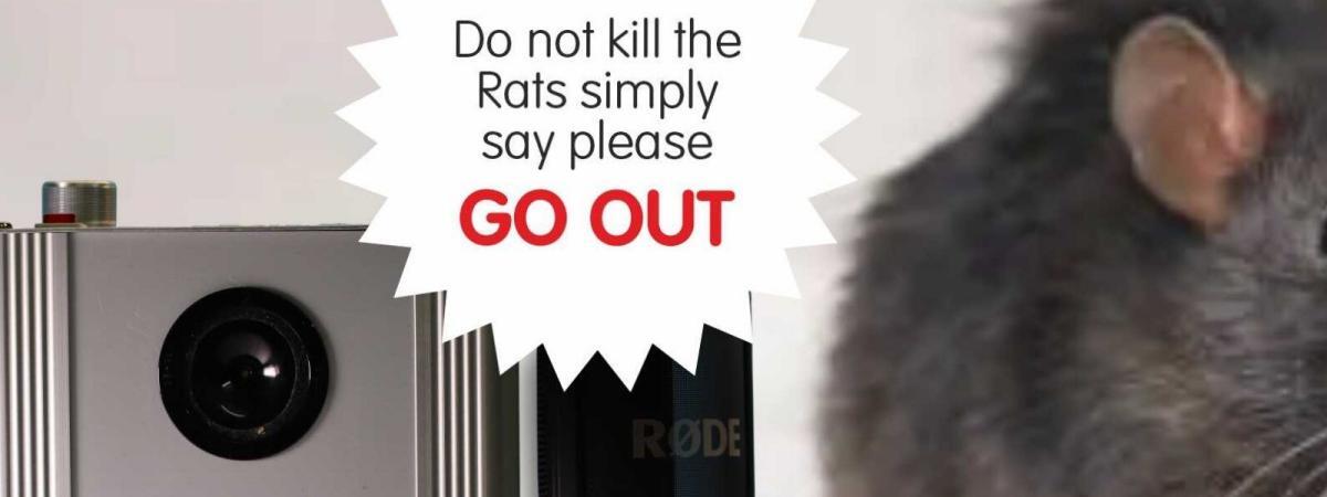Rodent Control Solutions – Safe & Smart Repellents | ConceptMart