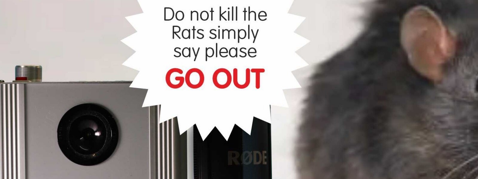 Rodent Control Solutions – Safe & Smart Repellents | ConceptMart