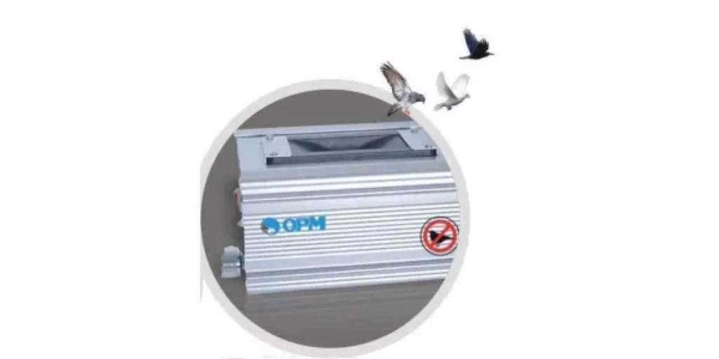 Integrated Techniques To Get Rid Of Pigeons - Conceptmart