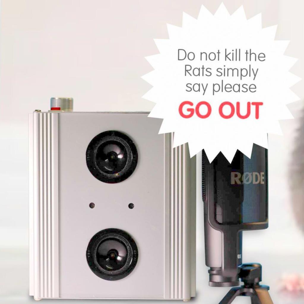 Monkey Deterrents – Safe & Eco-Friendly Repellent | ConceptMart