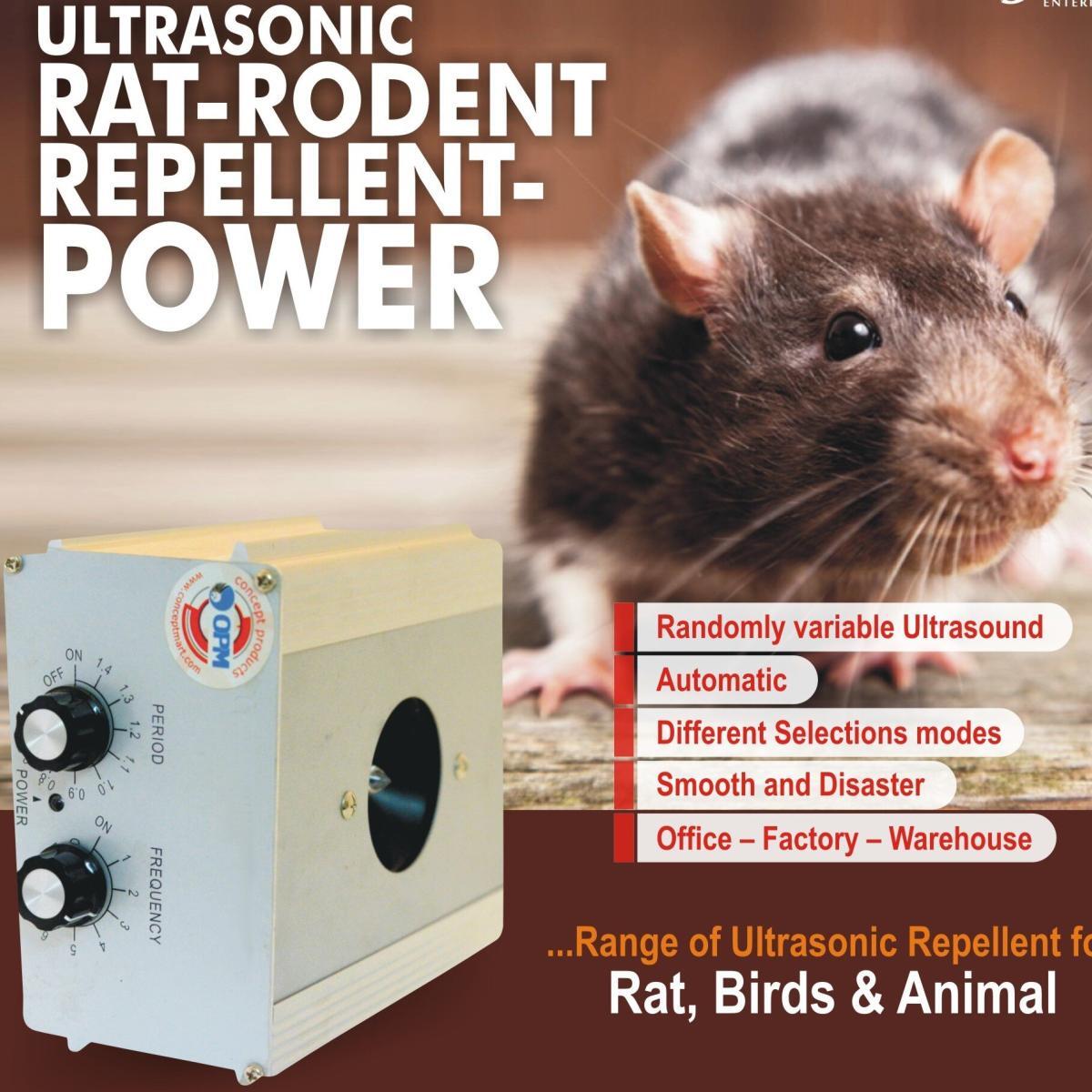 Monkey Deterrents – Safe & Eco-Friendly Repellent | ConceptMart