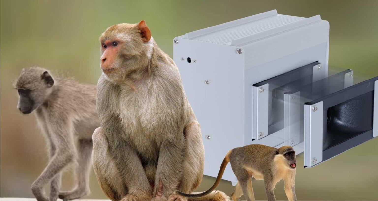 How to Get the Best Results from Monkey Repellent Sound - Conceptmart as per application